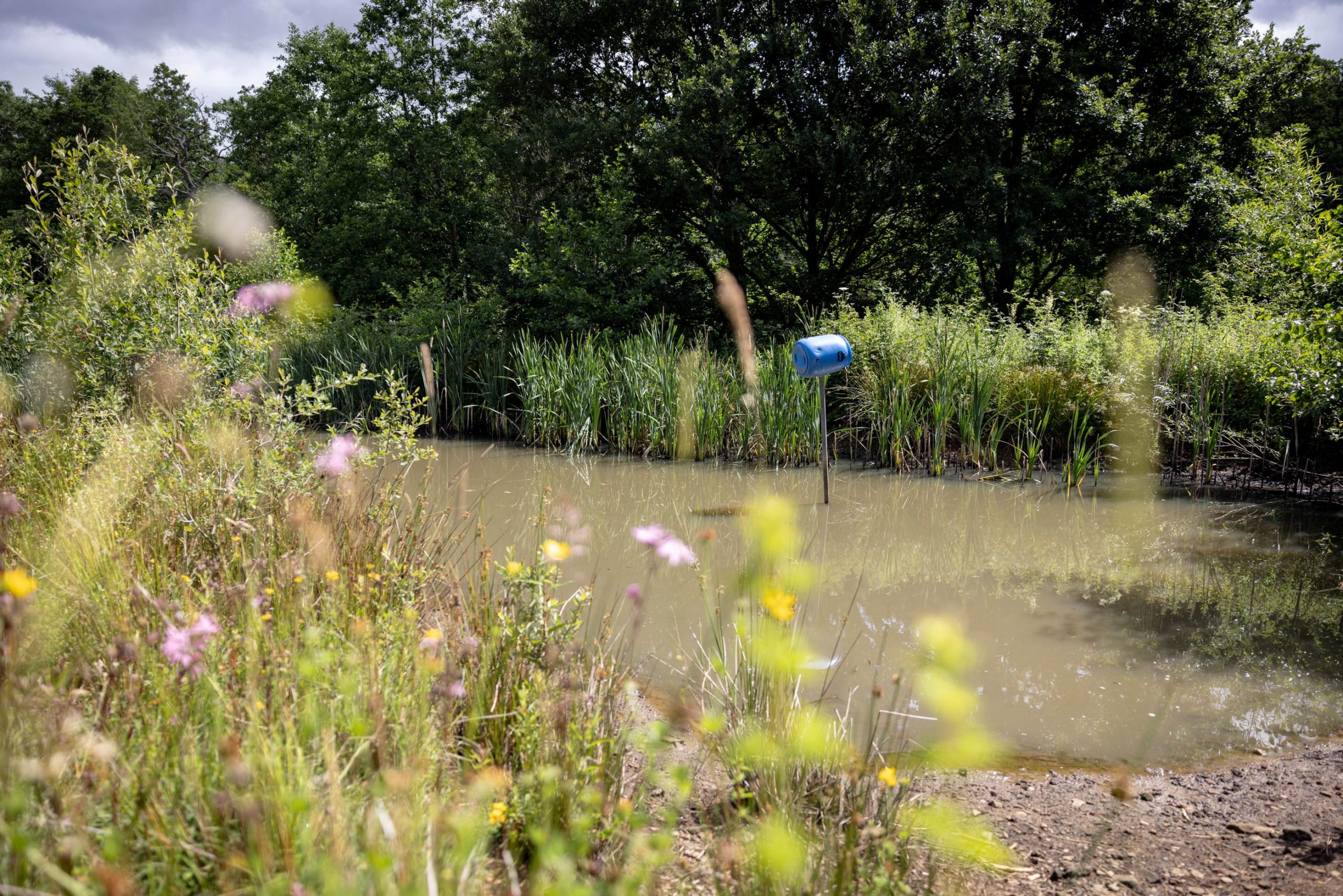 Search is on for unsung heroes of the British countryside - Rother Radio
